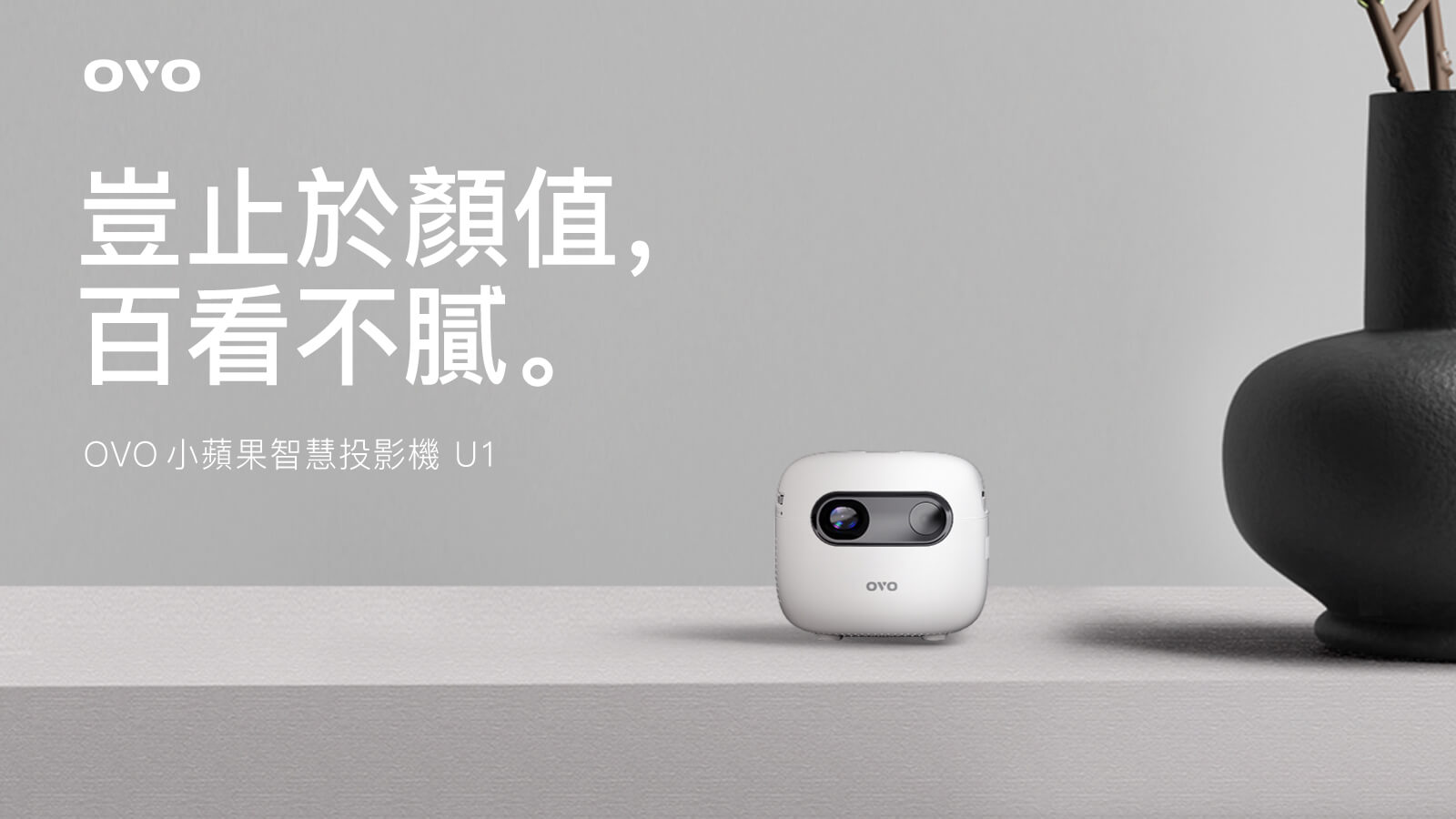 贊助預購｜Hihibox 嗨嗨盒子｜OVO Family